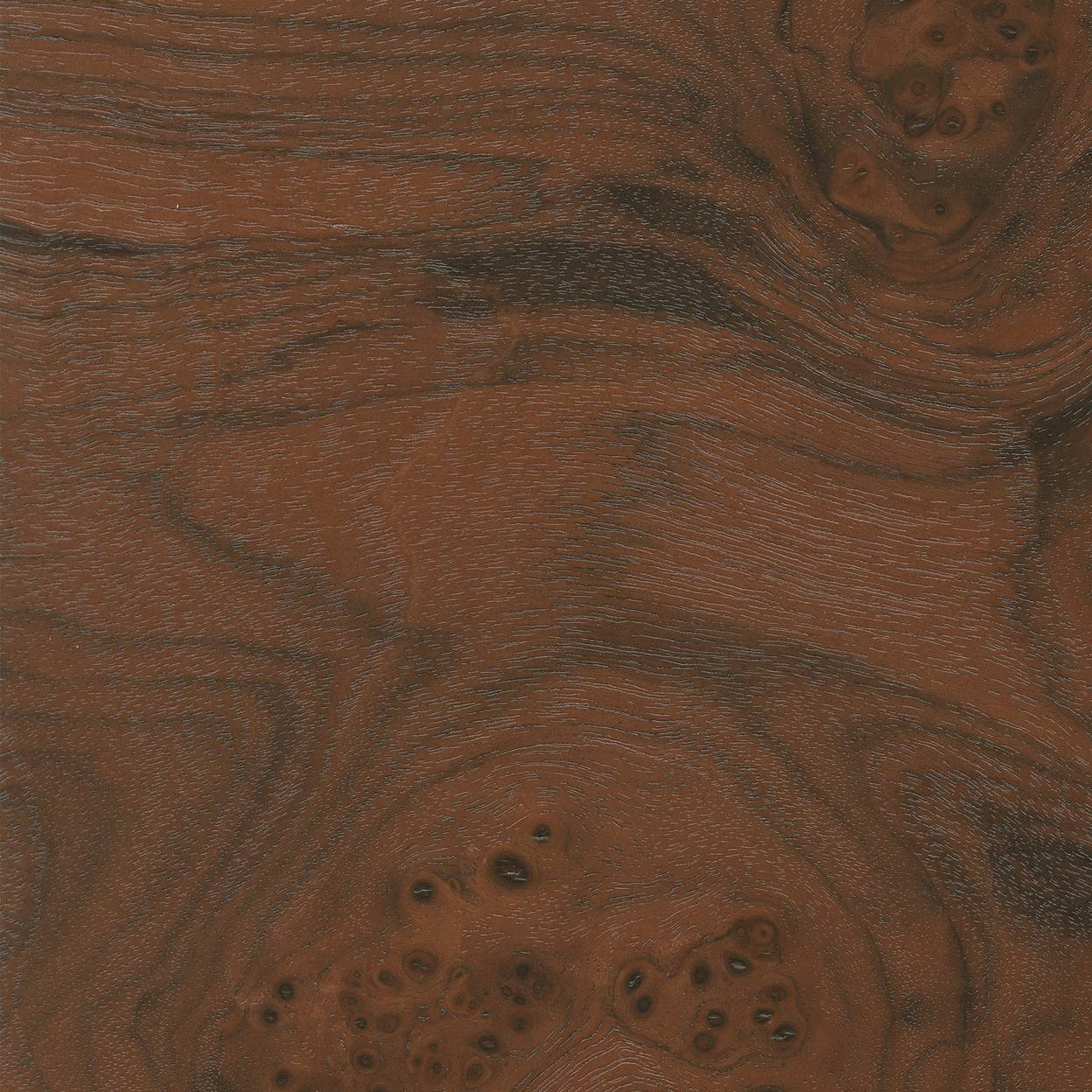 Walnut Burl - Wood & Veneer - Wood & Veneer - Materials - Herman Miller