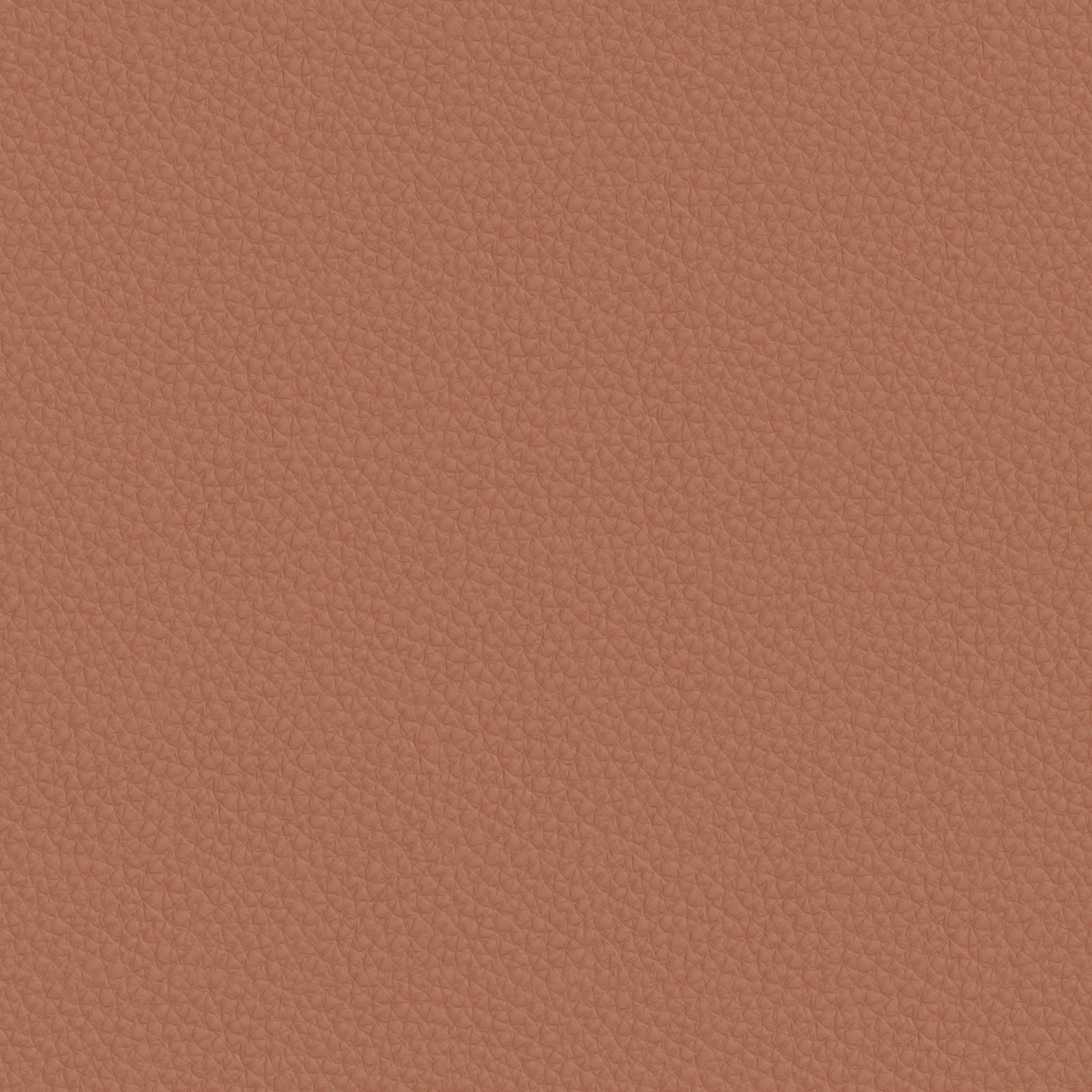 Russet Color
