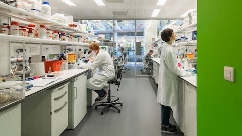 Herman Miller – Modern Furniture for the Office and Home